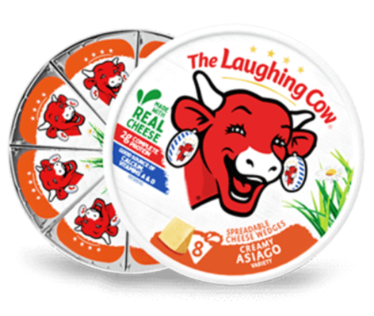 Cow Laughing