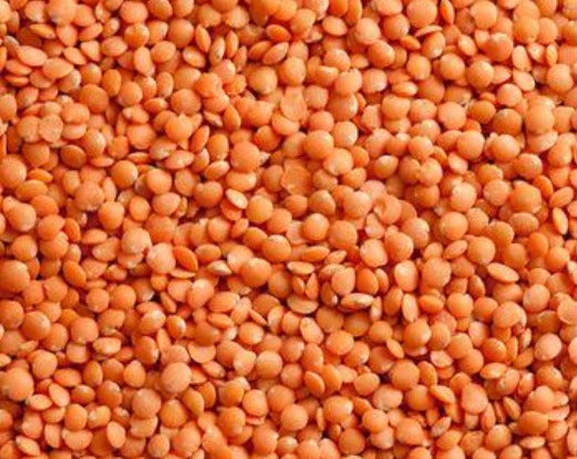 Red Lentils, 32 oz – Parthenon Foods